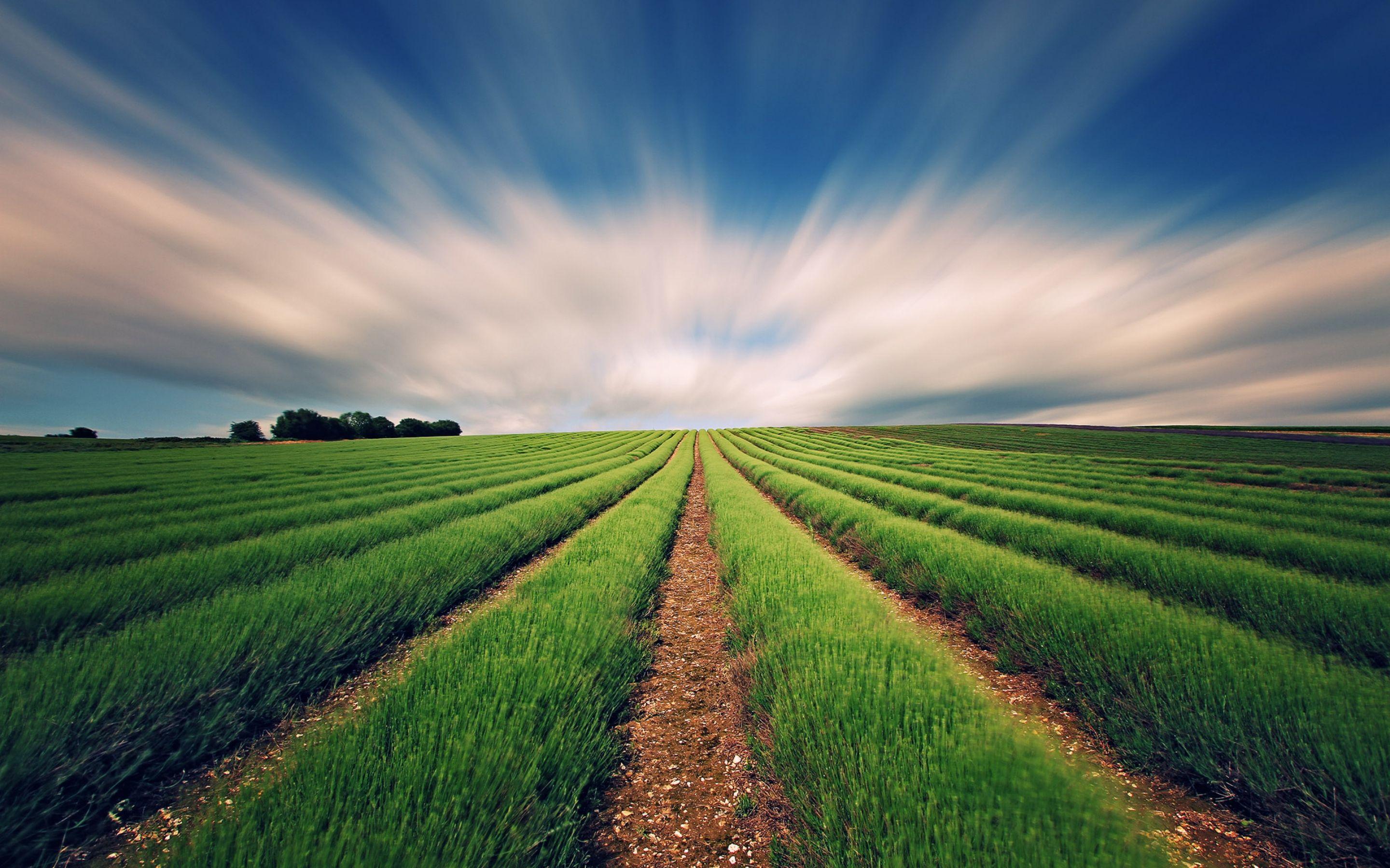 Clout Our Integrated Agricultural Solutions Designed From The Ground 